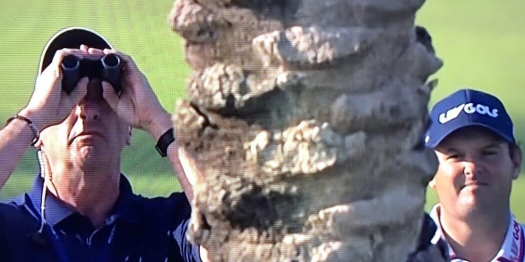 Dubai Desert Classic, Patrick Reed, ball stuck in tree, Rory McIlroy ...